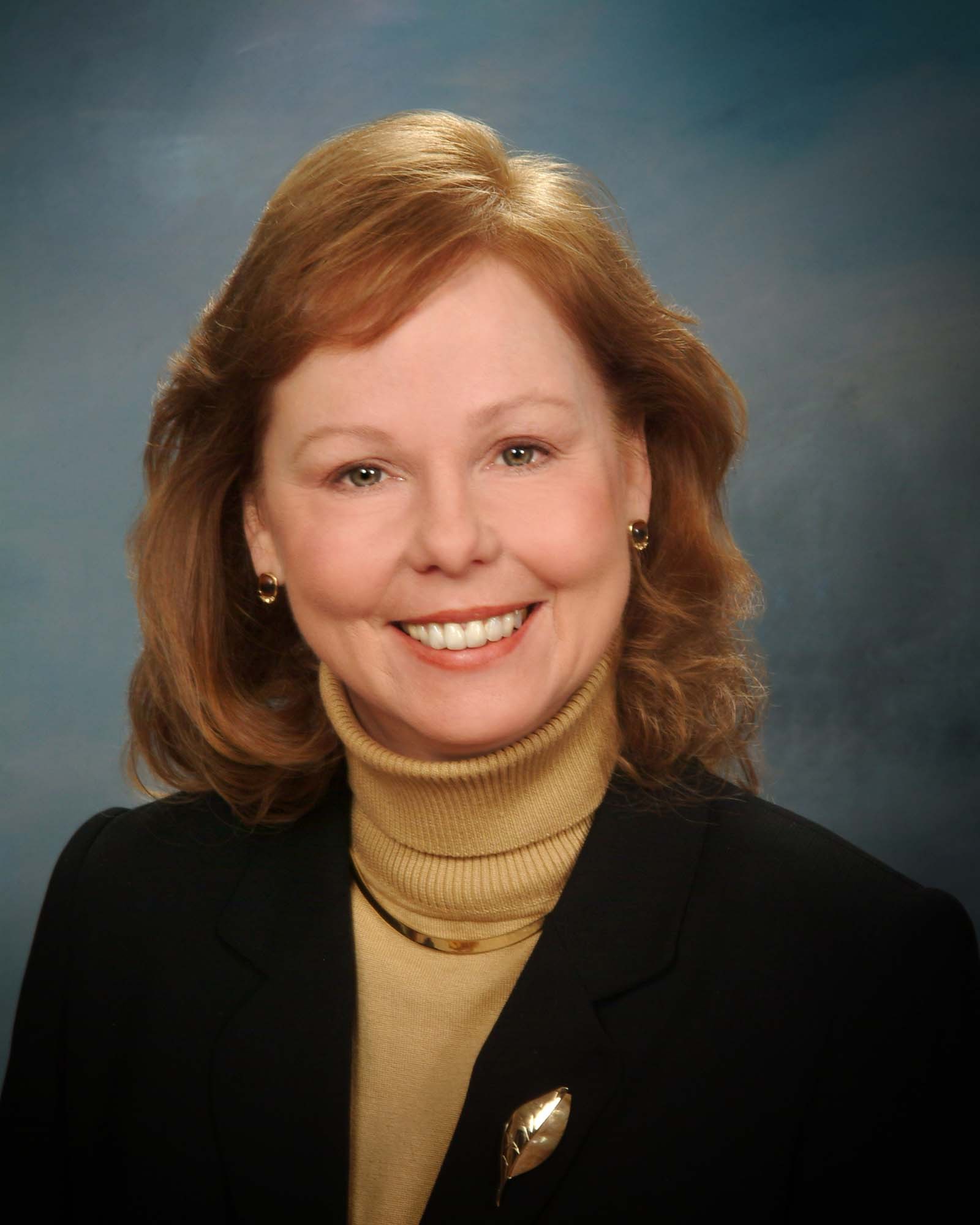 Simon named president, CEO at Methodist - The Peorian